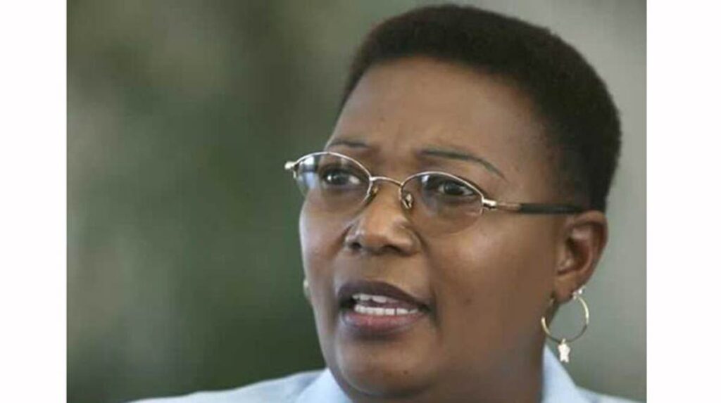 ED endorses Khupe as opposition leader in Parliament - The Anchor