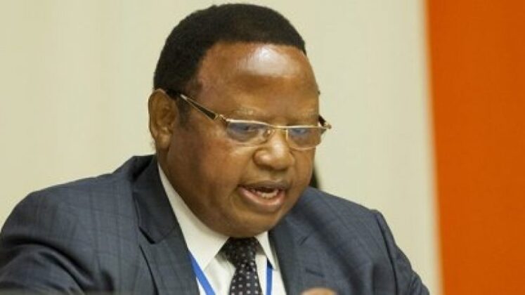 Shava replaces Sibusiso Moyo in Senate - The Anchor