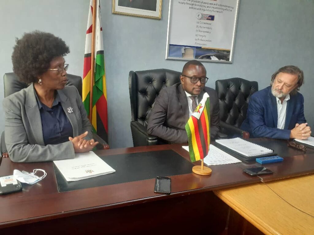 Zim signs US$100mn deal for construction of mega solar plant - The Anchor
