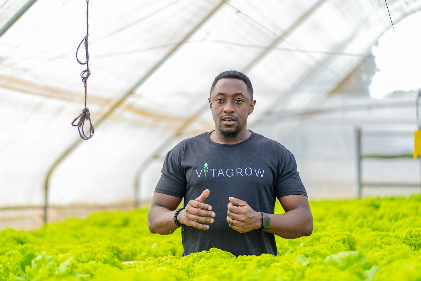 Backyard to Business: How Hydroponics is Changing Urban Farming in ...