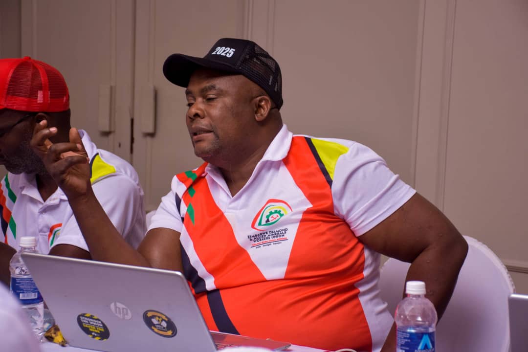 RioZim in ZACC Probe Over Fraud, Secret Accounts - The Anchor