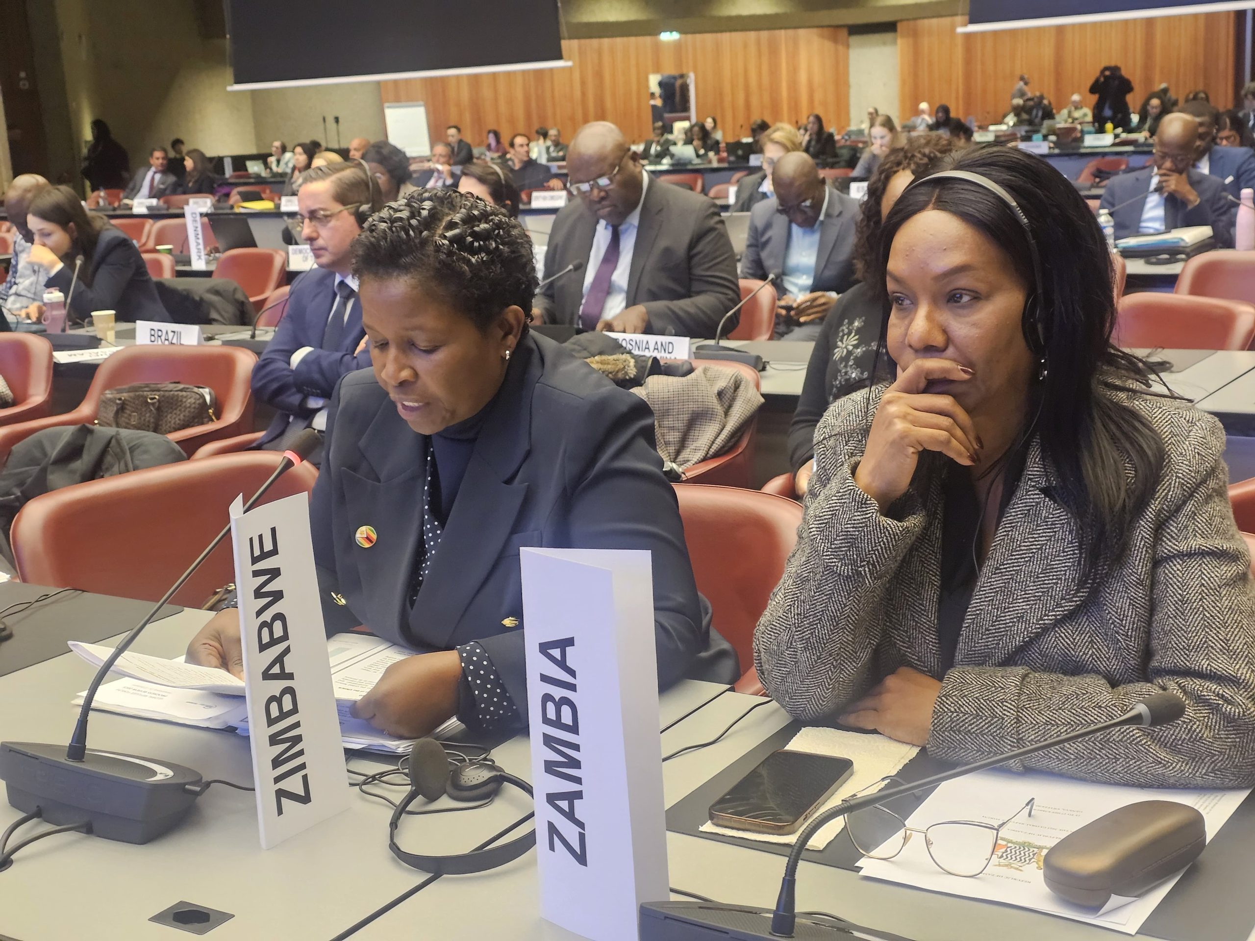 Zimbabwe Flags Displacement Pressures, Pushes for Stronger Donor ...